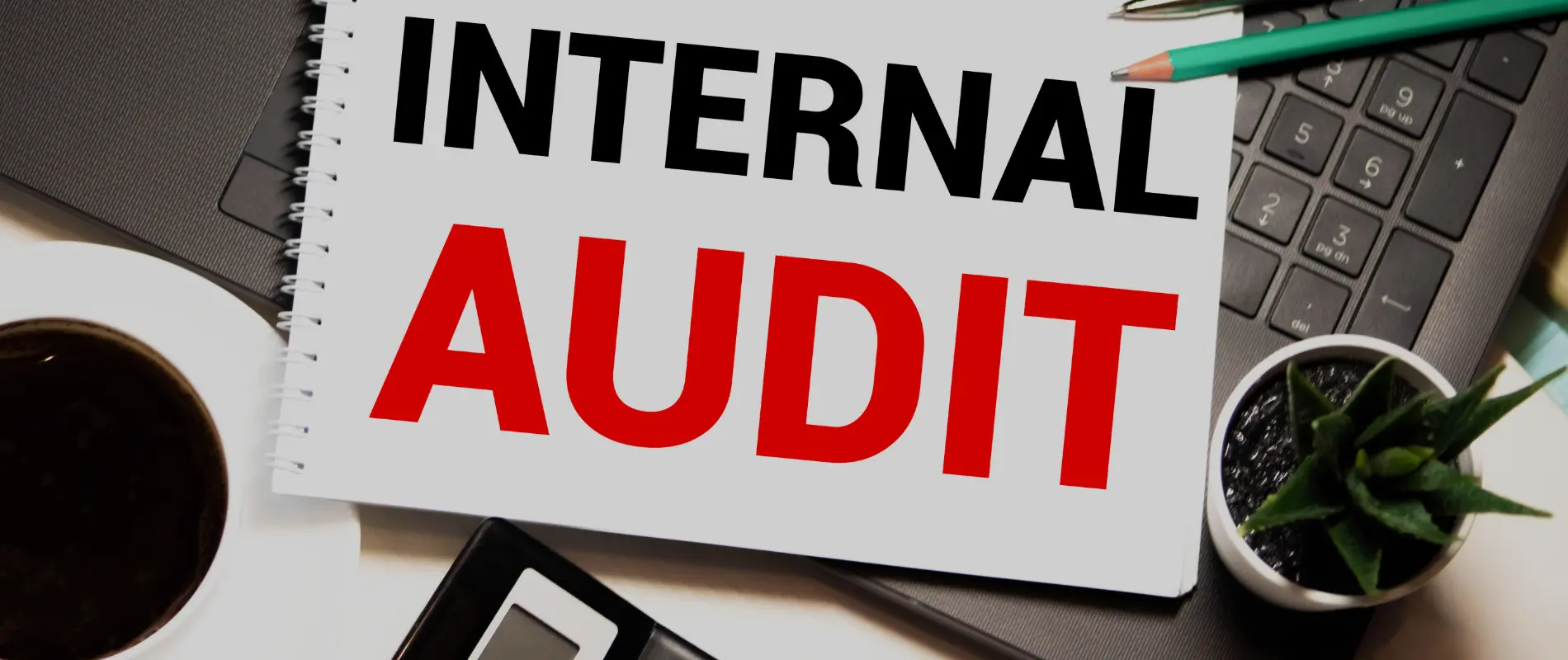 Internal Audit Services: A Comprehensive Guide - Bill Accounting